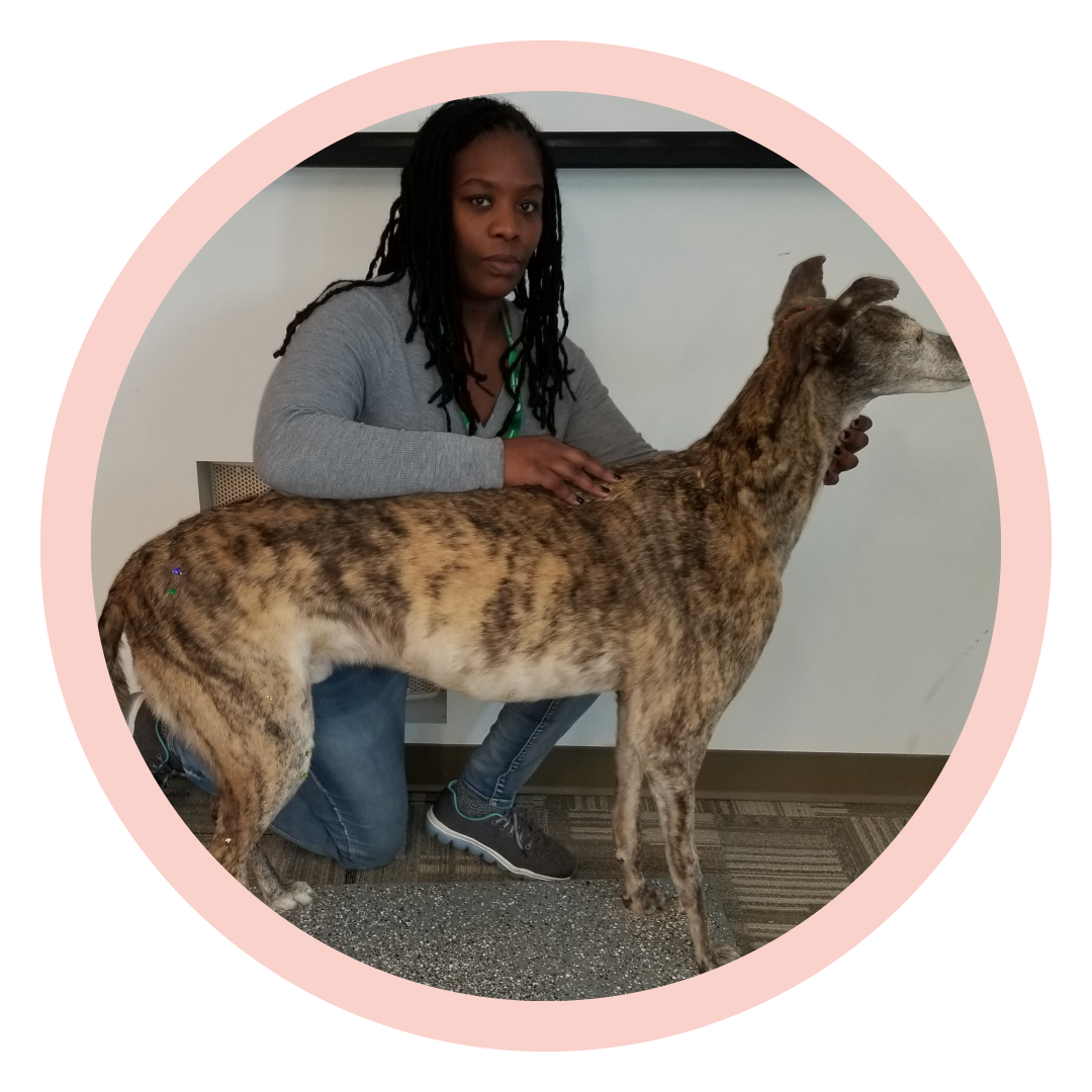 Mobile Care – Dr. Croom Mobile Veterinarian