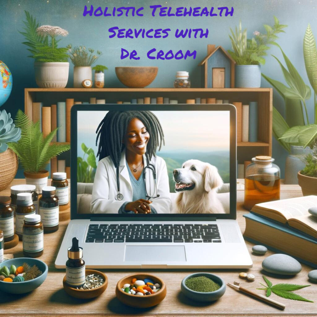 Dr. Croom Mobile Veterinarian – DrCroom